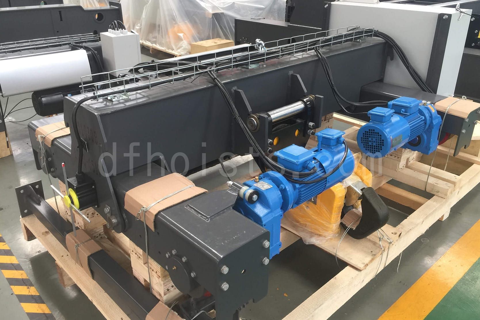 FEM Standard Electric Hoists Manufacturer | Cost Effective | Dafang Crane