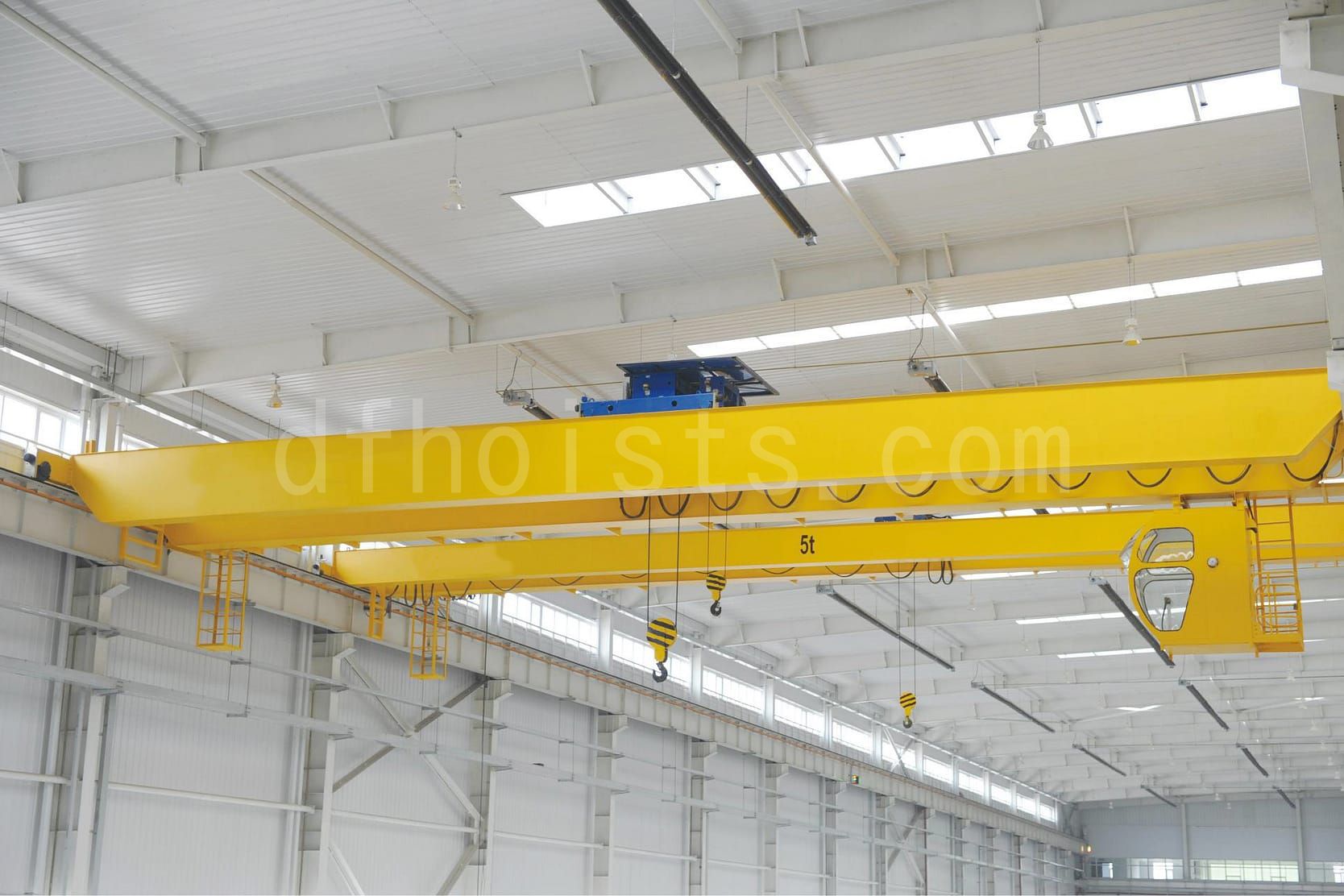 FEM Standard Double Girder Overhead Cranes Manufacturer | Dafang Crane